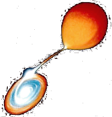 Cataclysmic Variables